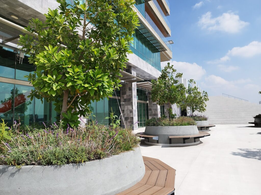 Tour por el Centro de Desarrollo de Oracle en Guadalajara